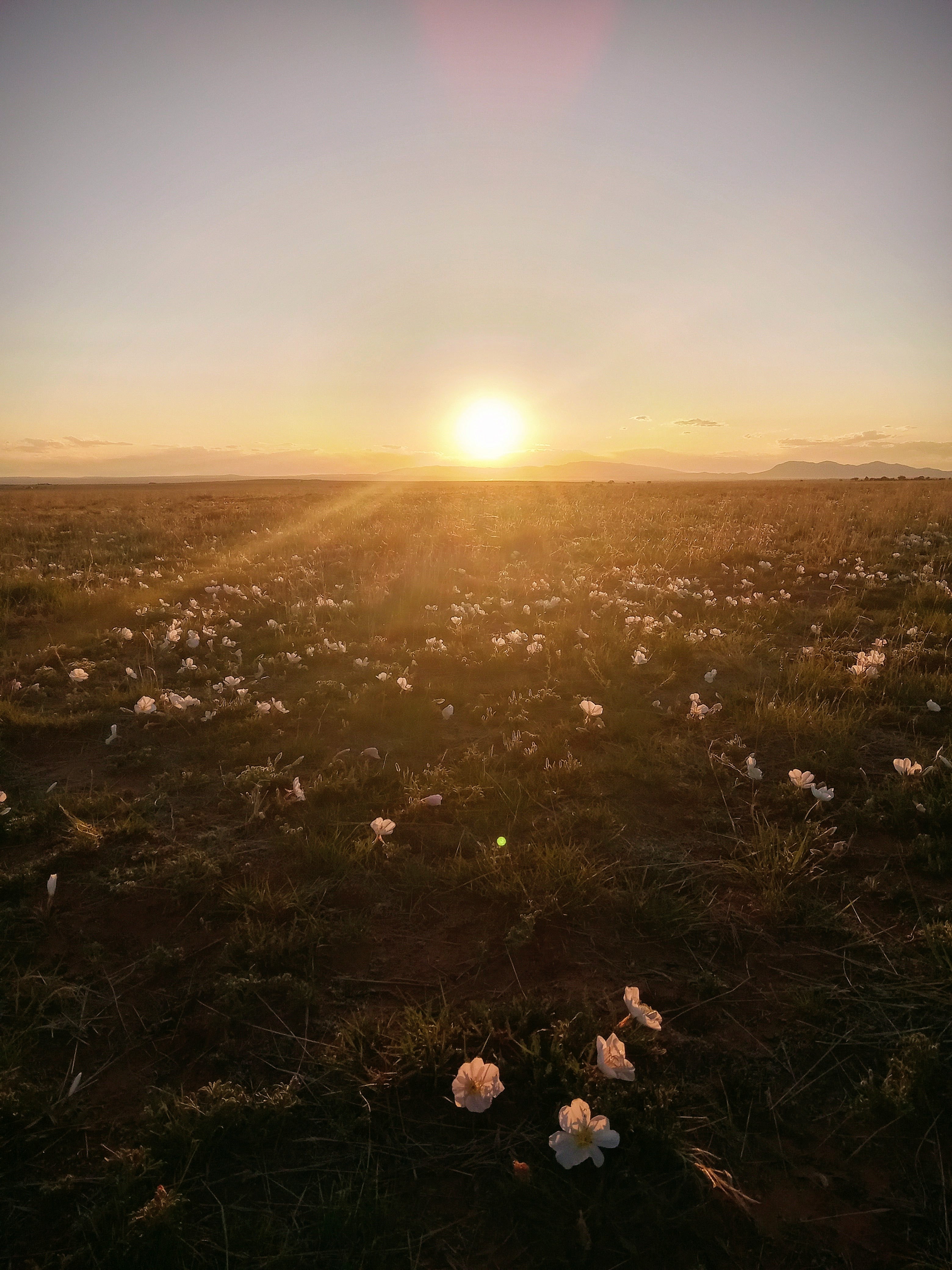 Our Little Nook Apothecary – Our Little Nook Apothecary LLC